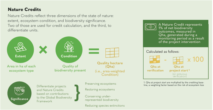 Biodiversité en déclin